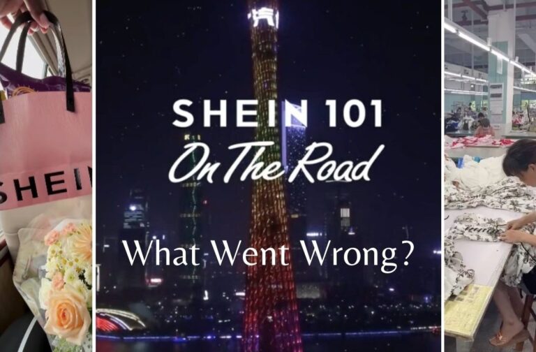 40+ Businesses Shein Stole Designs From: The Complete List - Ethically ...